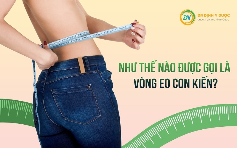 Các Bài Tập Vòng Eo Con Kiến Tại Nhà | 2023